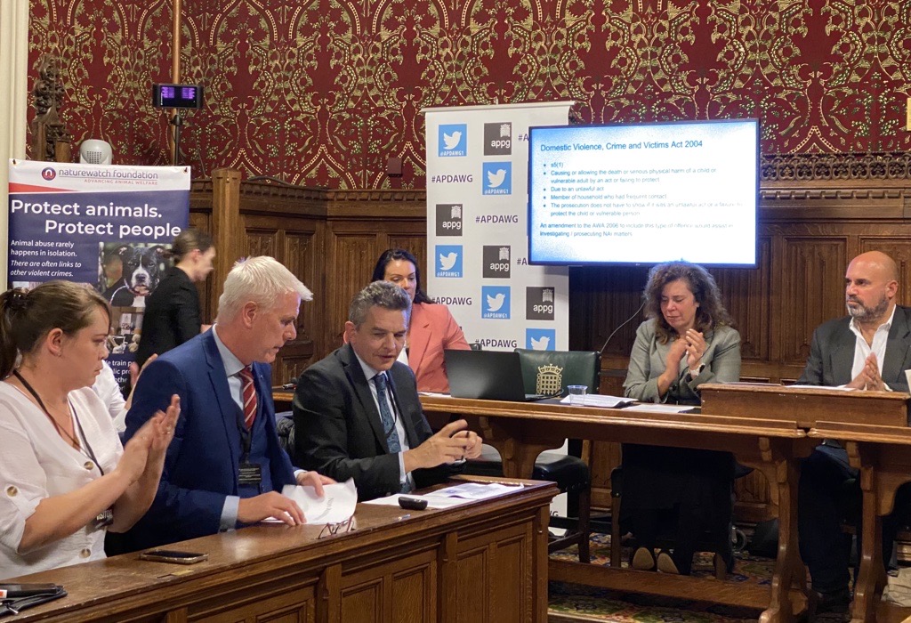 Domestic Abuse Awareness Month - Protecting Animals, Protecting People ...