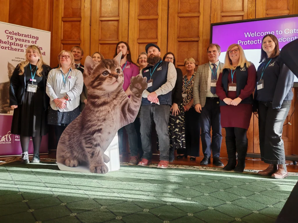 Cats Protection Launch The Cat Manifesto – Northern Ireland ...